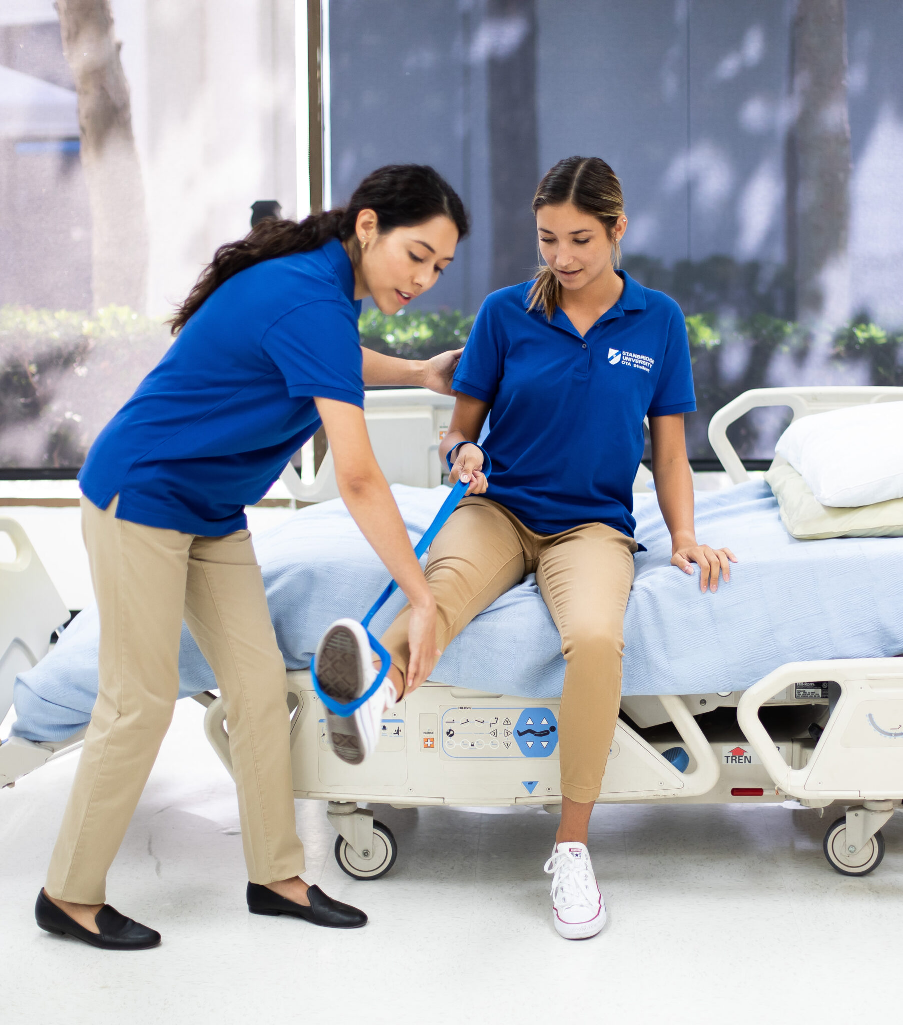 What Does an Occupational Therapy Assistant Do?